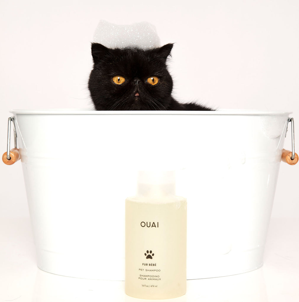 Fur Bébé Pet Shampoo For Dry Skin - Pet Safe Wash – OUAI